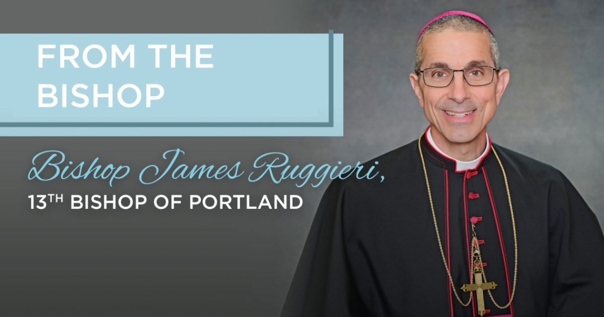 Becoming a partner with Christ and His Church | Harvest Magazine